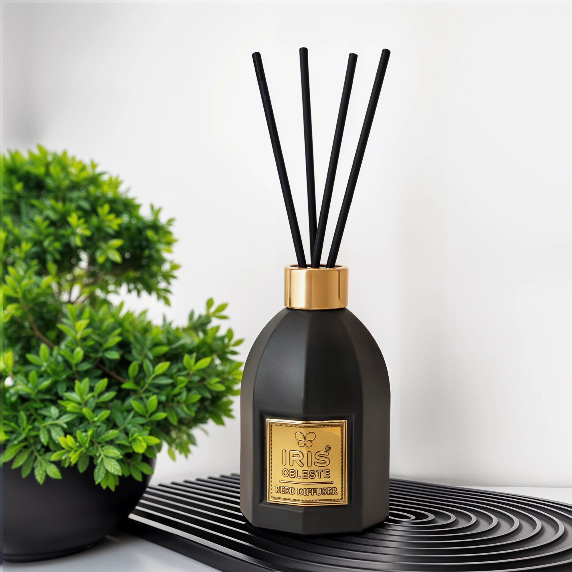 New IRIS Celeste Black Oudh Reed Diffuser Set – IRIS Home Fragrances